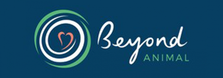 Mentors - Humane Entrepreneurship Program