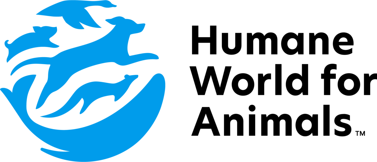 The Humane Entrepreneurship Program - Where business meets humanity